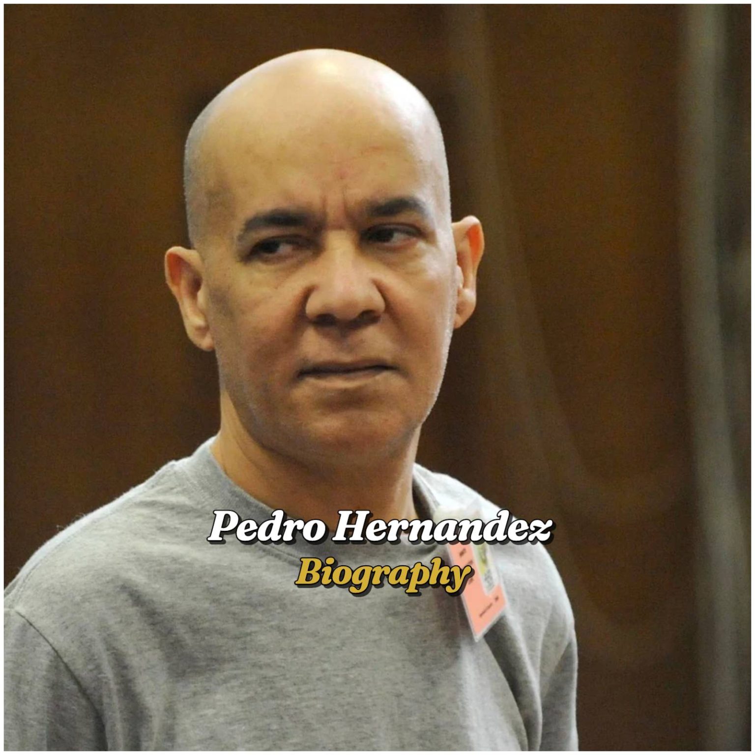 Pedro Hernandez Biography: Age, Family, Nationality, Career, Net Worth ...